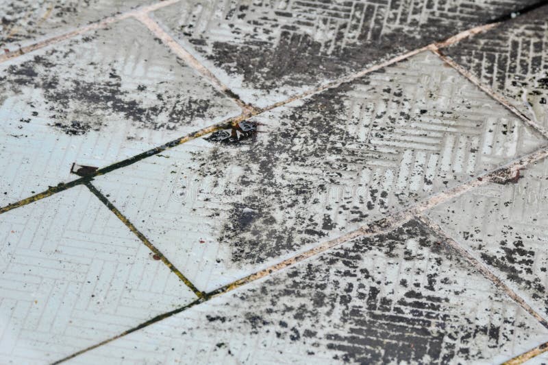 The Dirty and Moldy Tile Floor Surfaces Stock Photo - Image of mold ...