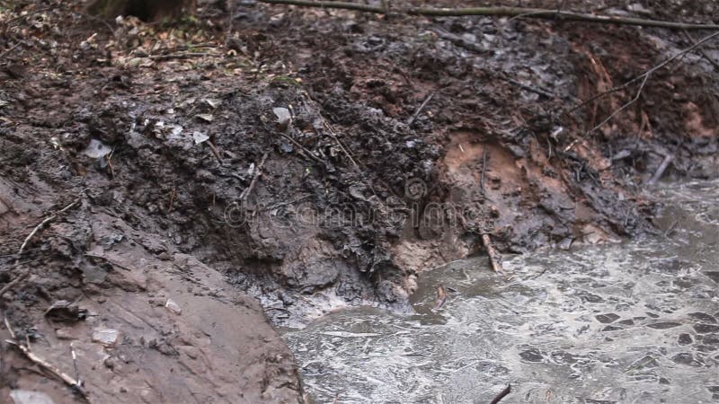 Dirty Old Deep Lagoon Water Warning Sign Stock Video - Video of symbol ...