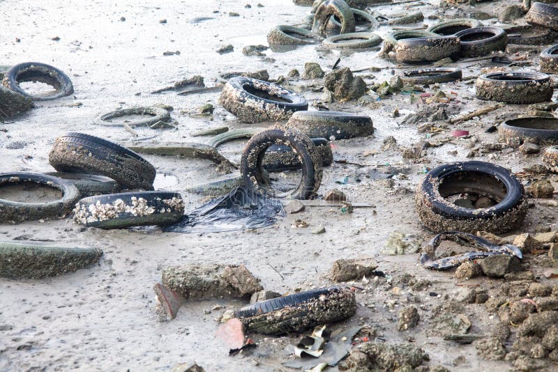 Dirty Muddy Beach Showing a Dump Site Stock Image - Image of canal ...