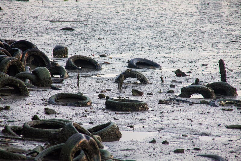 Dirty Muddy Beach Showing a Dump Site Stock Photo - Image of ocean ...