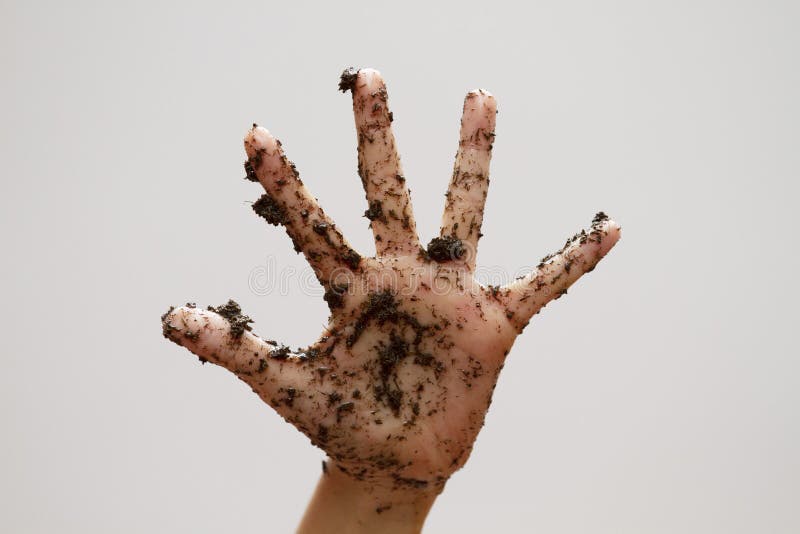 Dirty muddy hand on white stock image. Image of children - 150649721