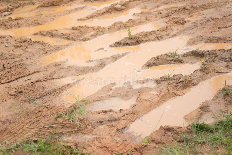 Dirty and Muddy Road Texture Stock Image - Image of field, rough: 98148537