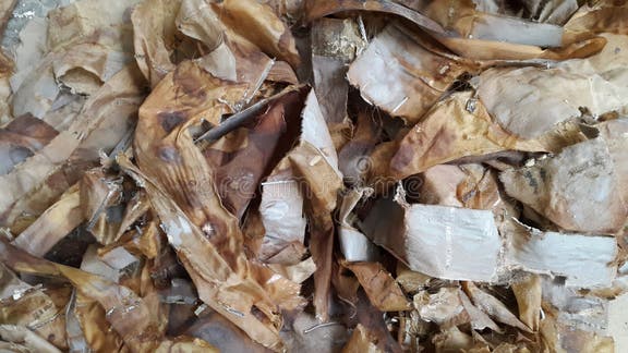 Dirty Old Torn Rags. Dirty Garbage Background Stock Photo - Image of ...