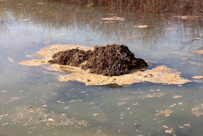 Dirty Patch Floating on Polluted Water Stock Image - Image of dirt ...