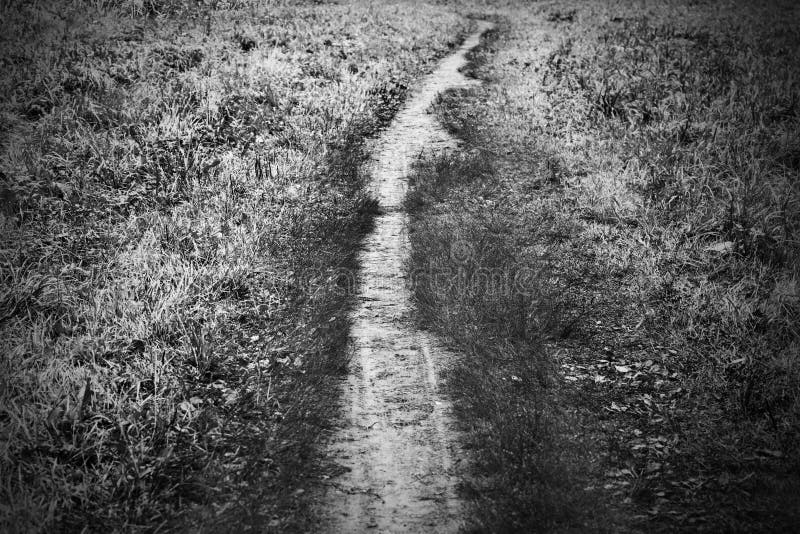 Dirty Path among Grass in Nature. Stock Image - Image of dark, leaf ...