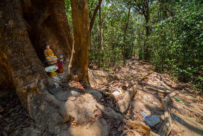 Dirty Path and Small Temple in the Jungle. Stock Image - Image of ...