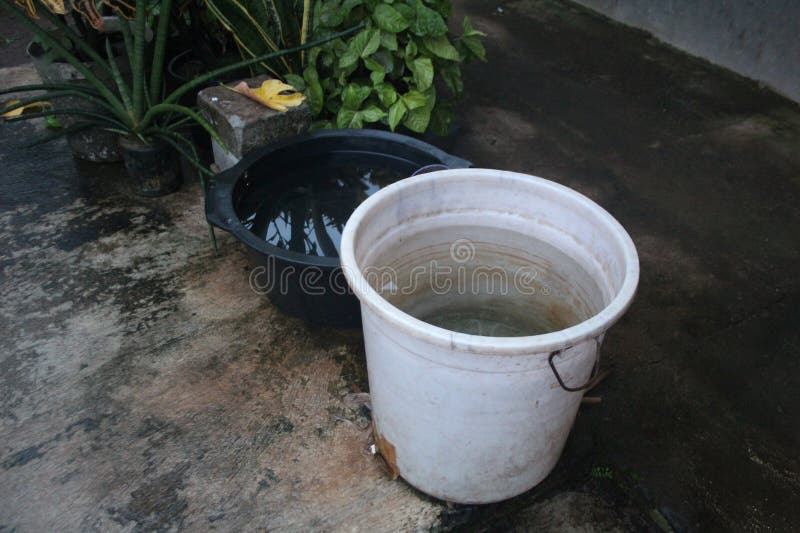 Dirty Plastic Bucket Filled with Water Stock Photo - Image of sculpture ...