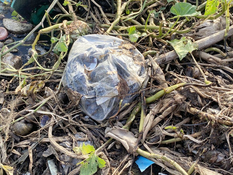 Dirty plastic on dry grass stock photo. Image of outdoors - 262878002