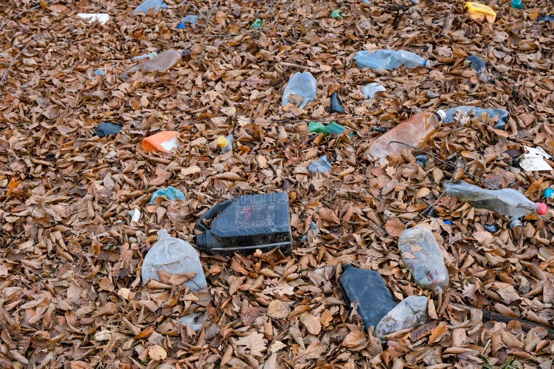 A Dirty Plastic and Glass Bottle Left in the Autumn Forest. Plastic ...