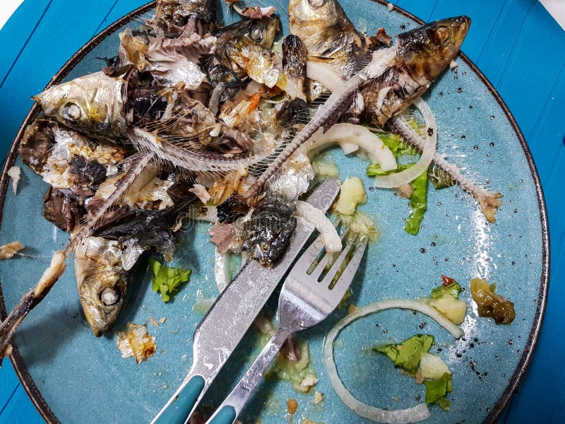 Dirty Plate with Fish Leftovers Stock Photo - Image of empty ...