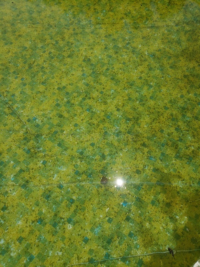 Dirty pool bottom stock image. Image of pool, merky - 154462823