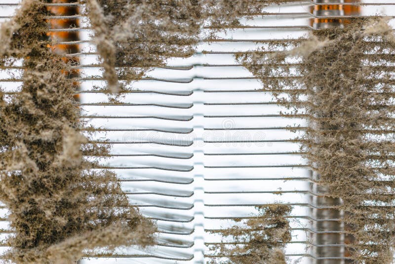 Dirty Radiator from the Computer Cooling System, a Lot of Dust and Dirt ...