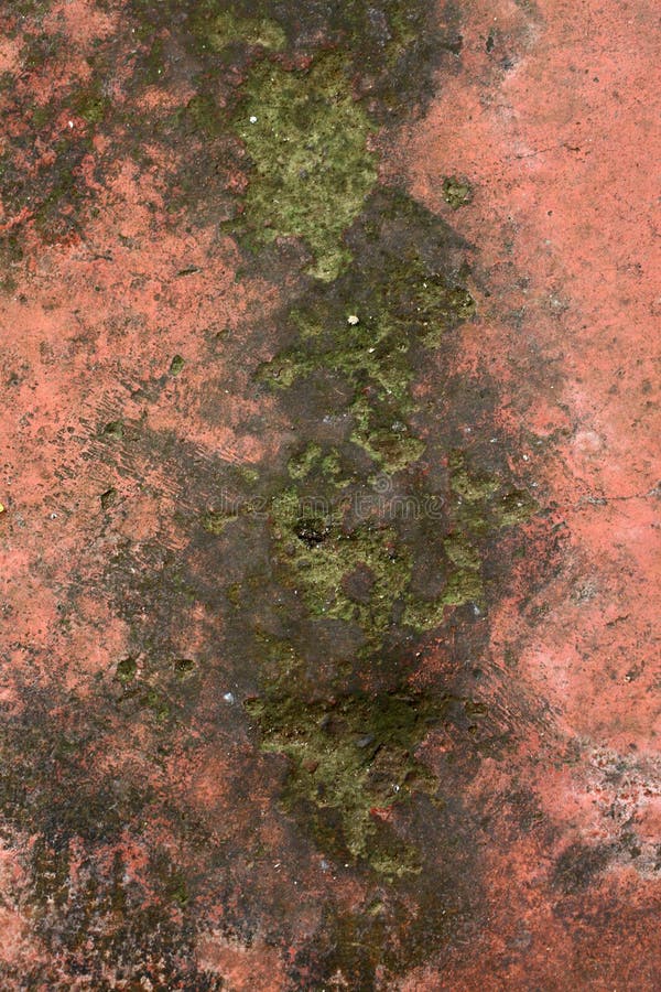 Dirty Red Floor Texture Wiht Moss Stock Image - Image of moss, effect ...