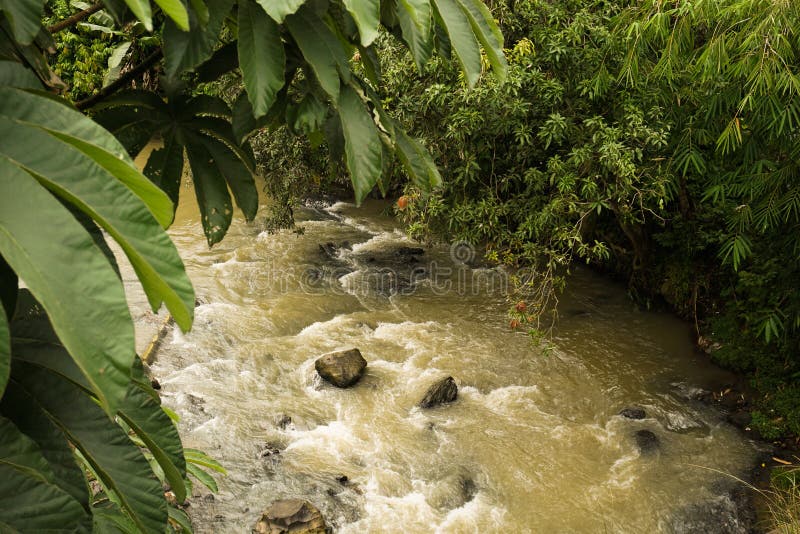 Dirty River Flow with Plastic Waste Photo Taken in Bogor Indonesia ...
