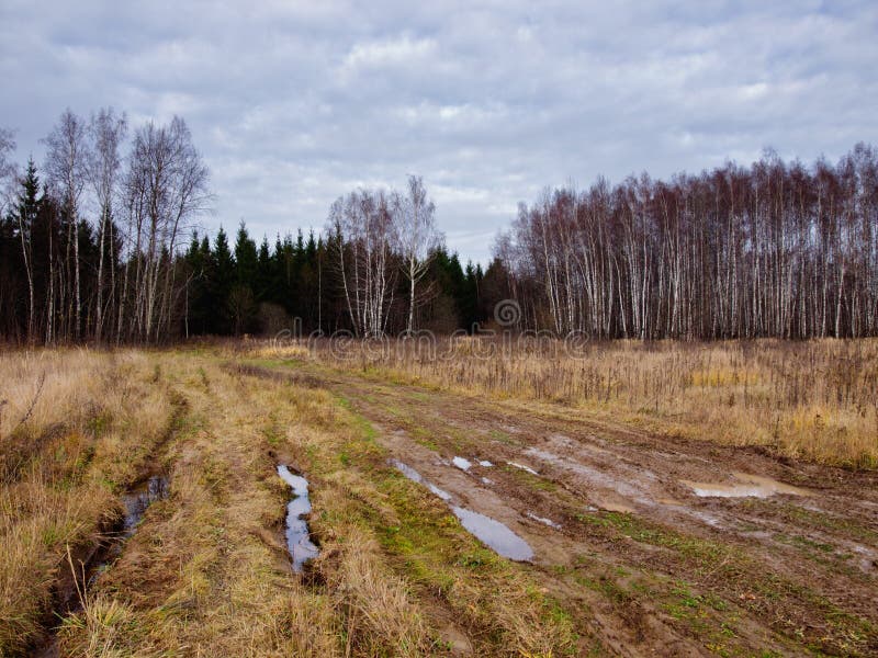 Rural village road stock image. Image of muck, drive - 49928575
