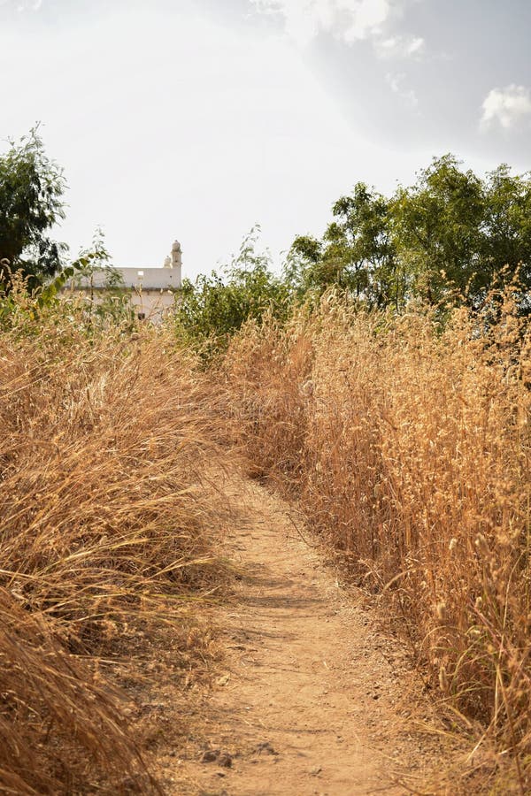Dirty Road Pathway Background,Falling Leaves on Dirty Road Stock ...