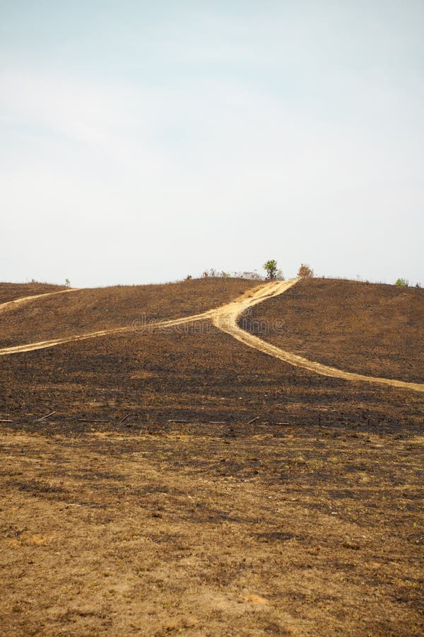 Dirty Land Stock Photos - Download 37,143 Royalty Free Photos
