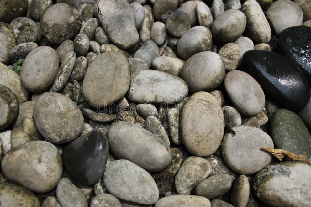 Dirty Rocks at Garden for Background Stock Image - Image of garden ...