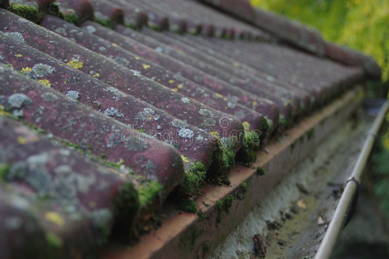 Dirty Roof and Gutter Requiring Cleaning Stock Image - Image of leaves ...