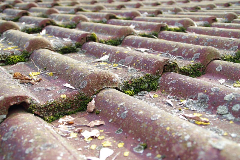 Dirty Roof Tiles Requiring Cleaning Stock Image - Image of concrete ...