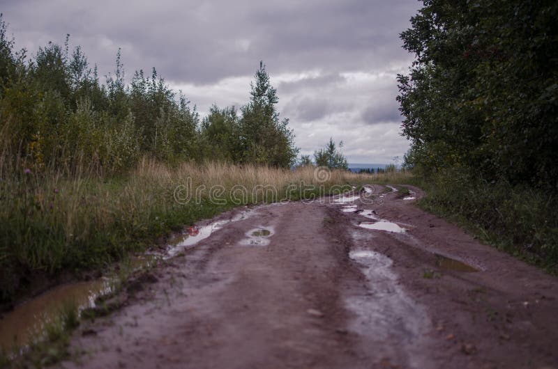Dirty Road in Field Near the Forest Stock Image - Image of park, land ...