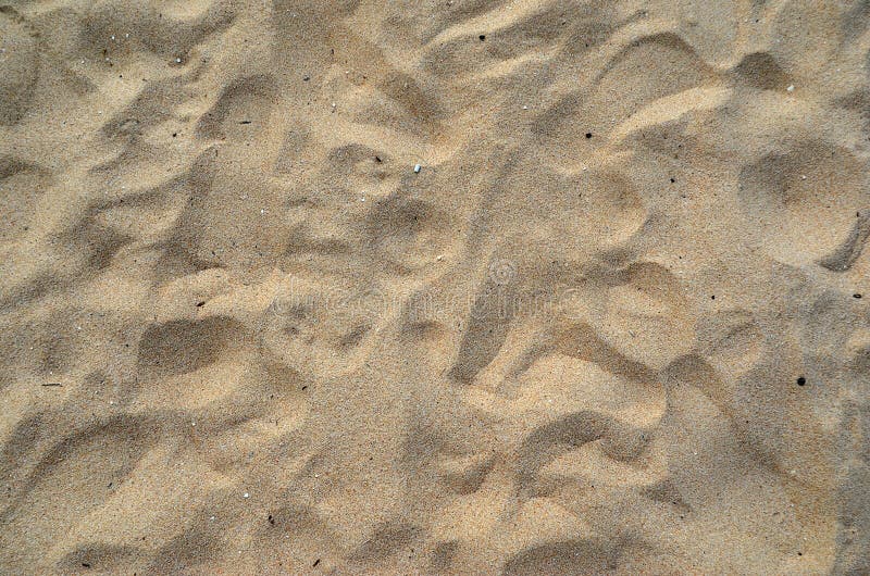 Dirty Sand on the Beach Detail Photo Texture Stock Photo - Image of ...
