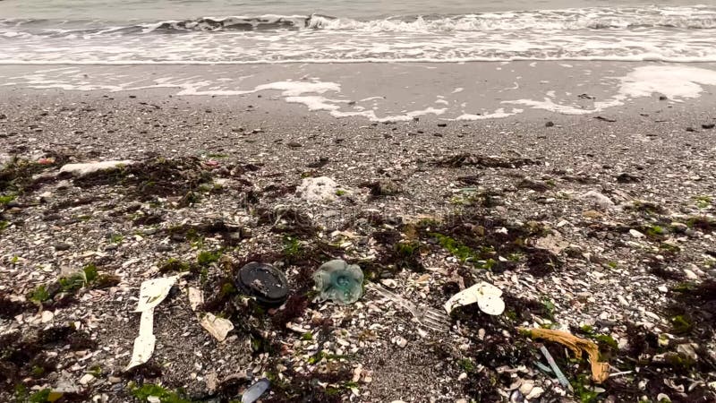 Dirty Sea Sandy Shore Environmental Pollution Ecological Problem ...