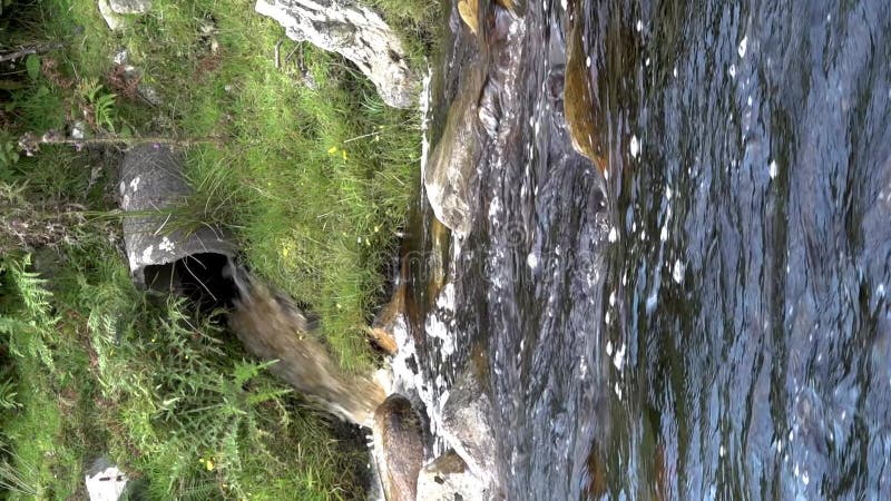 Raw Sewage Flowing Straight into Creek without Cleaning because ...