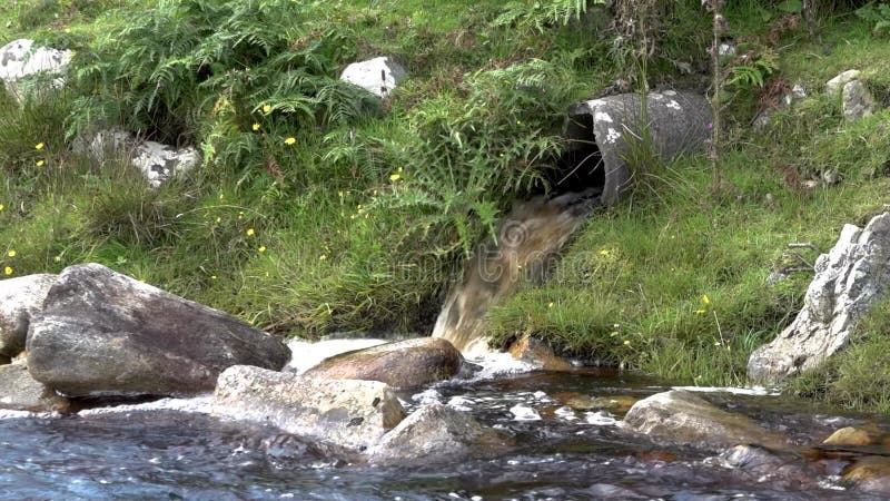 Raw Sewage Flowing Straight into Creek without Cleaning because ...
