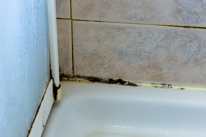 Dirty Shower stock photo. Image of destroyed, industry - 49629378