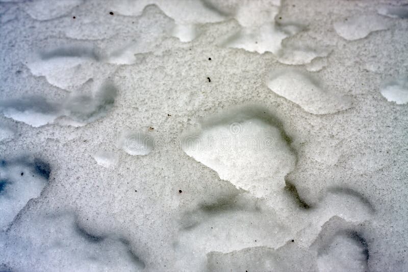 Dirty snow stock image. Image of surface, spring, muddy - 24258335