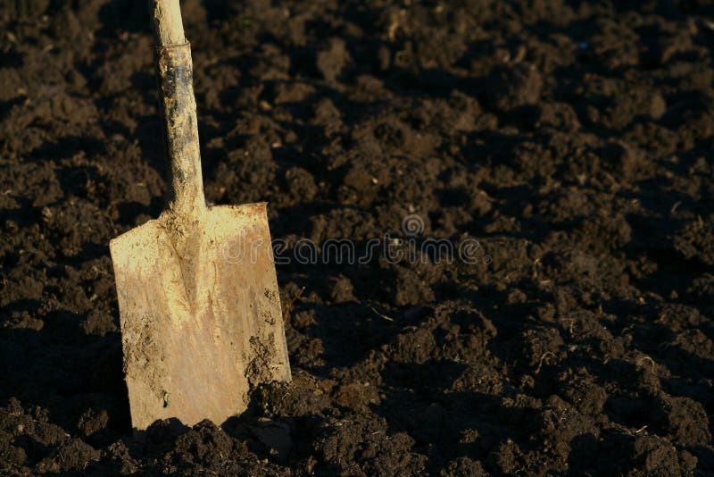 Dirty Spade Jabbed in Spaded Garden Soil Stock Image - Image of ...