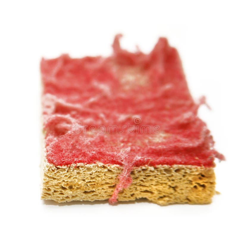 Dirty sponge stock image. Image of housework, detail, scrub - 7862903