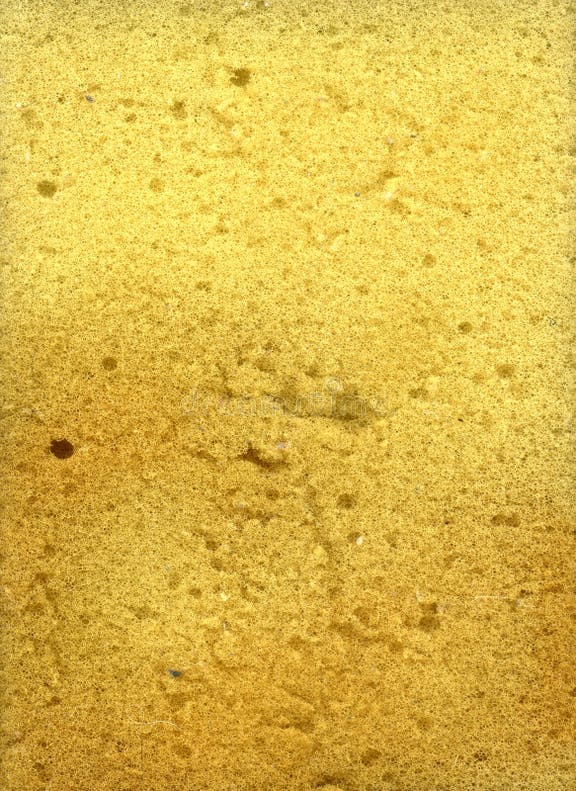 33,233 Sponge Texture Stock Photos - Free & Royalty-Free Stock Photos ...