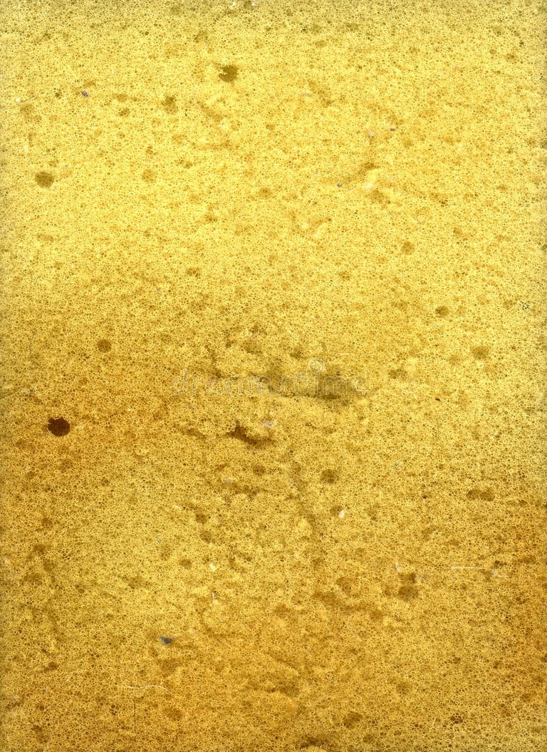 33,233 Sponge Texture Stock Photos - Free & Royalty-Free Stock Photos ...
