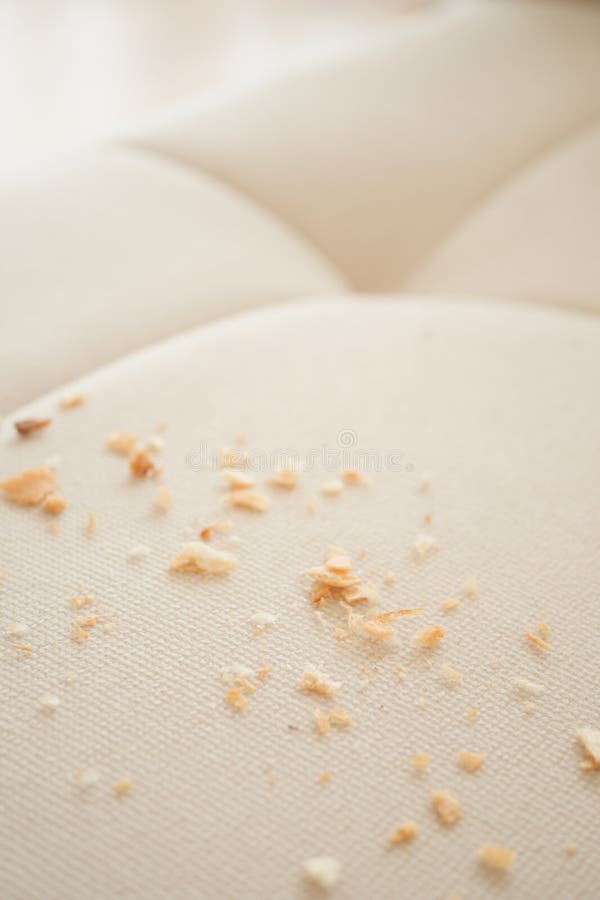 292 Dust Sofa Texture Stock Photos - Free & Royalty-Free Stock Photos ...