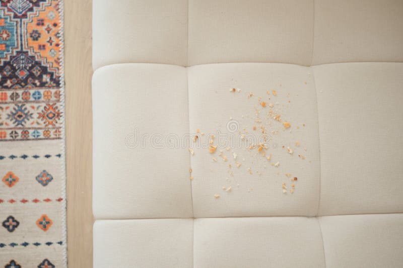 292 Dust Sofa Texture Stock Photos - Free & Royalty-Free Stock Photos ...