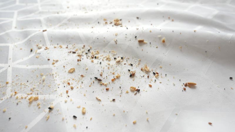 Dirty Stain or Dust on White Bed Stock Footage - Video of household ...