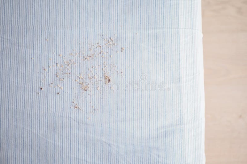 Dirty Stain or Dust on White Bed Stock Image - Image of interior ...