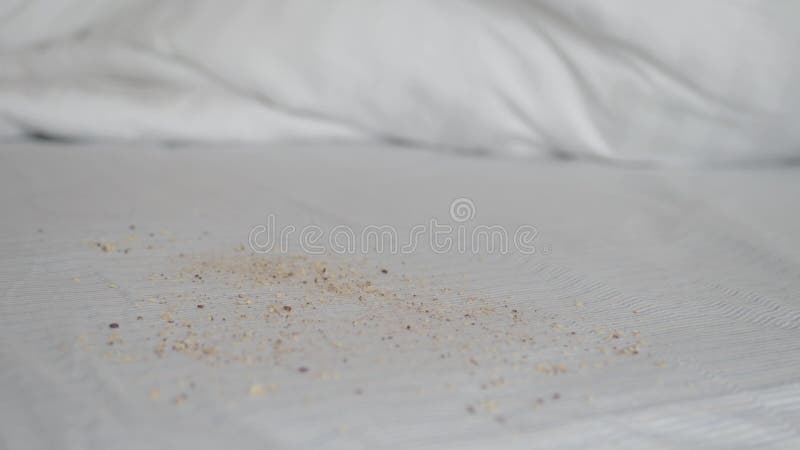 Dirty Stain or Dust on White Bed Stock Footage - Video of house, style ...