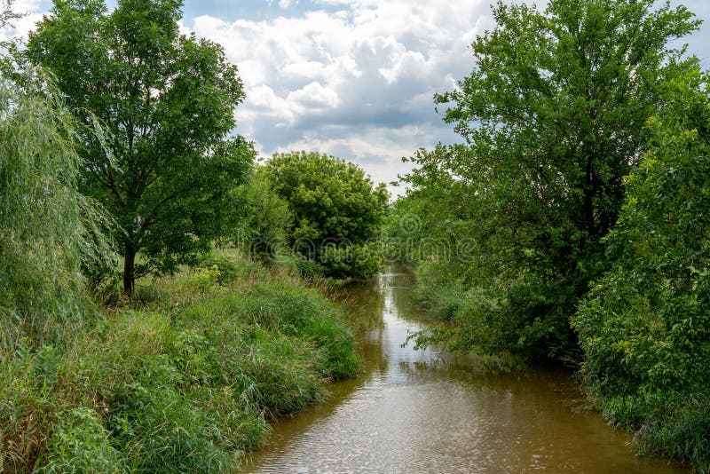 Stream among the Trees stock image. Image of plant, travel - 210263369