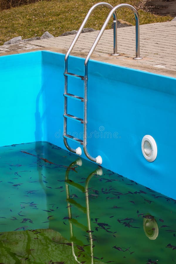 Dirty Swimming Pool stock photo. Image of dark, summer - 17125156