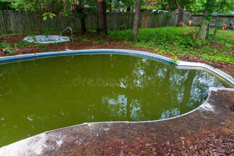 Disgusting Swimming Pool - Abandoned Hotel Stock Photo - Image of ...