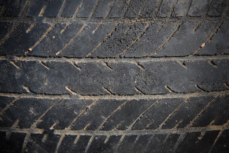 Running family stock photo. Image of meadow, mother, face - 6424592