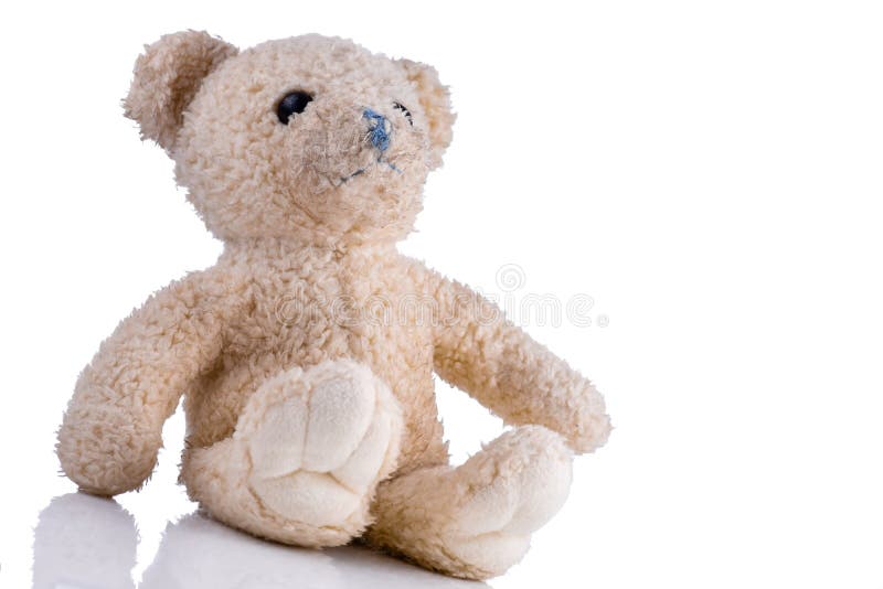 Dirty Toy Bear Sitting Isolated on White Stock Image - Image of dirty ...