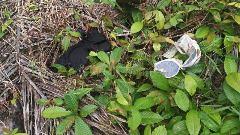The Dirty Unwanted Bras in the Bushes. Stock Footage - Video of girl ...