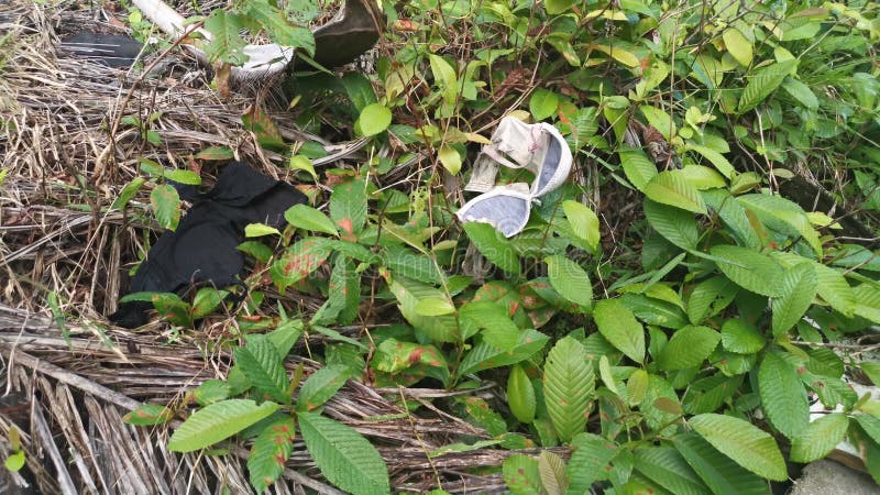 The Dirty Unwanted Bras in the Bushes. Stock Footage - Video of girl ...
