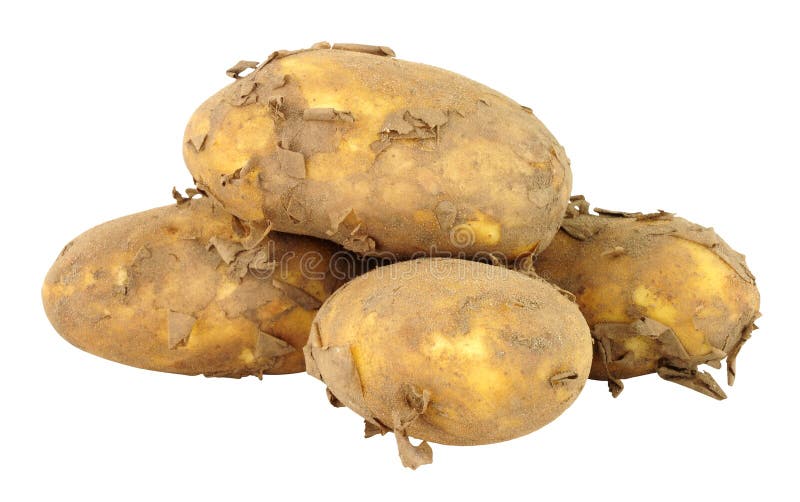 Dirty and Unwashed Dishes are Stacked in the Kitchen Sink. a Mountain ...