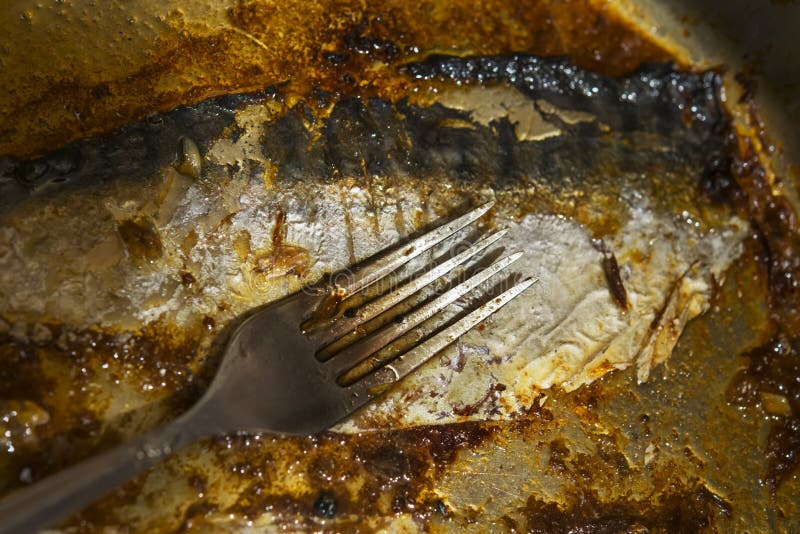 Dirty Unwashed Pan after Cooking Fish Stock Image - Image of delicious ...