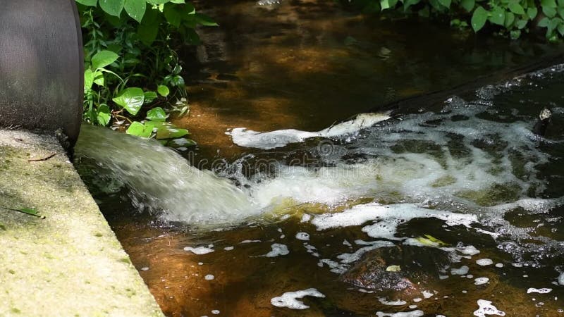 Dirty Water Flows from a Pipe in River, Environmental Pollution Stock ...